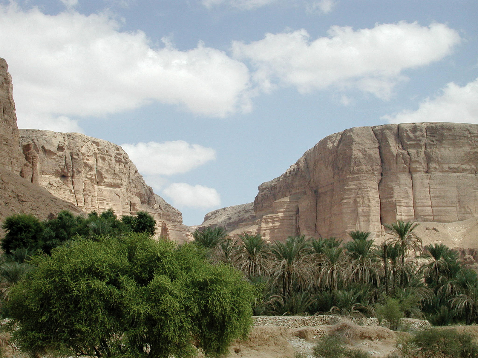 Wasia-Biyadh-Aruma Aquifer System (South) | Inventory of Shared Water ...